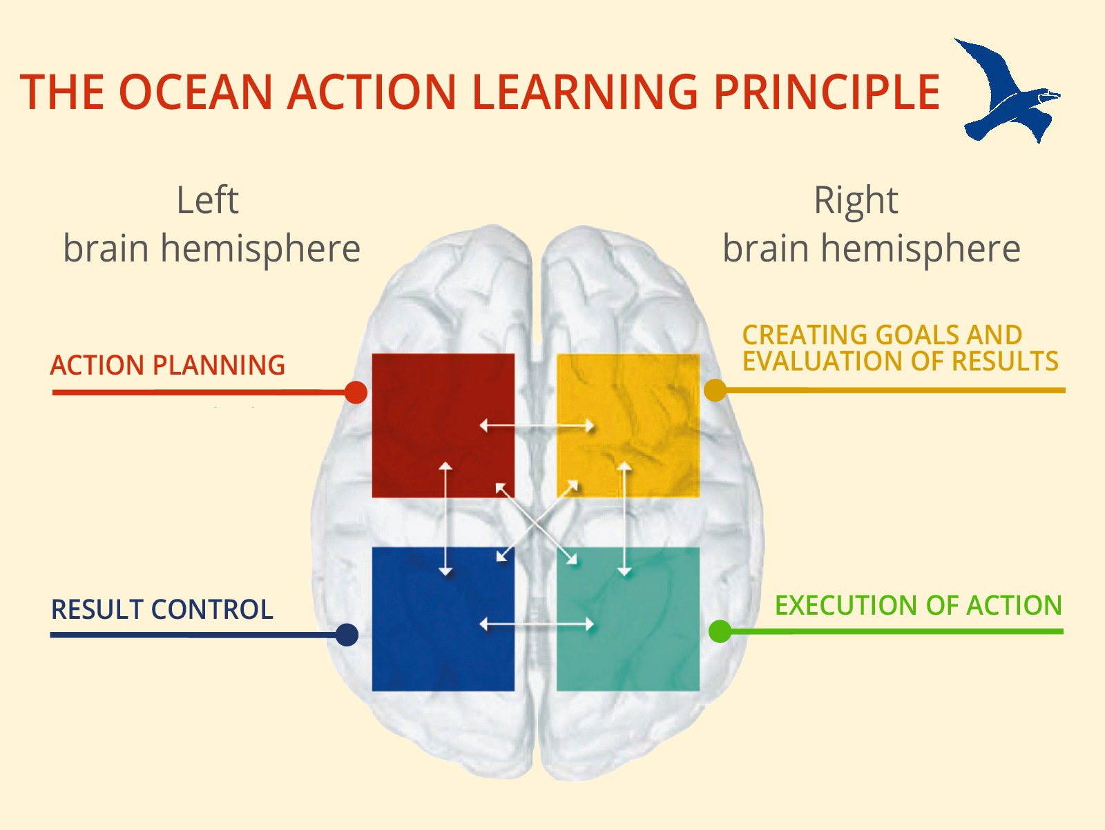 Ocean Action Learning Principle
